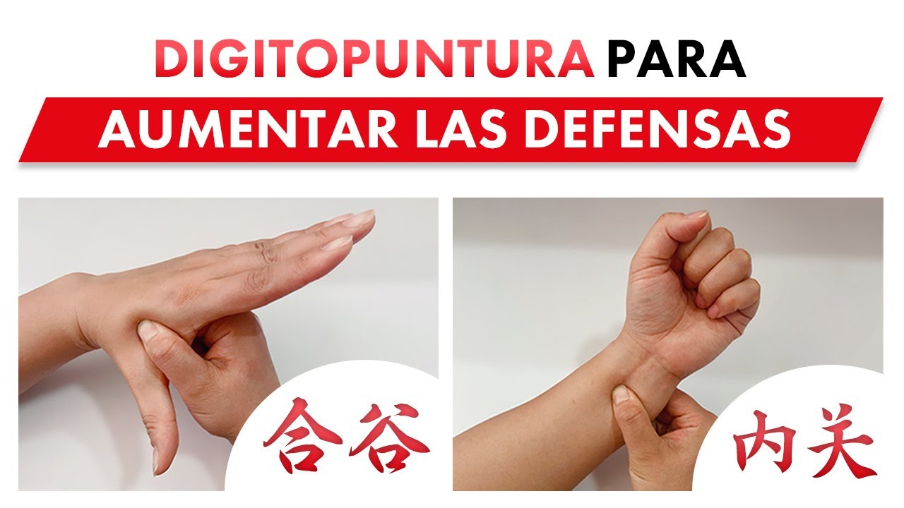 Guía completa sobre acupresión en los puntos de acupuntura en las manos ...